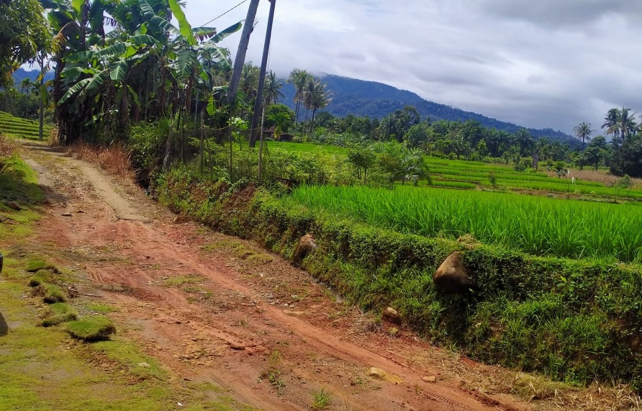 Masyarakat gumarang palembayan Agam keluhkan akses jalan yang berlumpur ...
